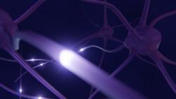 neuron animation 3D Models | Page 1 | STLFinder