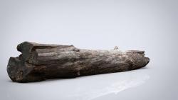 low poly dead tree trunk 3D Models | Page 1 | STLFinder