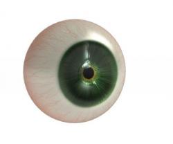 eye ball 3d models | Page 1 | STLFinder