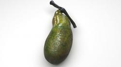 gallbladder 3d model | Page 1 | STLFinder