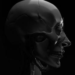 free 3d human anatomy software for pc | Page 1 | STLFinder