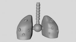 3d lung model | Page 1 | STLFinder