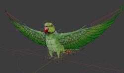 3d parakeet | Page 1 | STLFinder