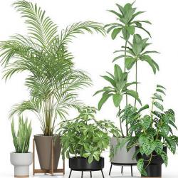 pokemon 596 3D Models | Page 1 | STLFinder