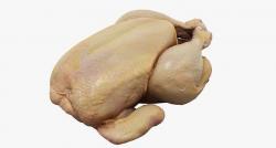 raw chicken 3D Models | Page 1 | STLFinder