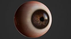 Human eye low poly 3D Models | Page 1 | STLFinder