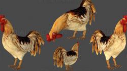 animated low poly chicken rooster 3d models | Page 1 | STLFinder