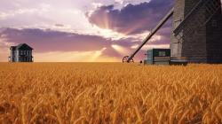 wheat field 3d model | Page 1 | STLFinder