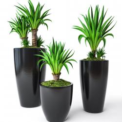 yucca 3d models | Page 1 | STLFinder