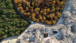 archmodels trees | Page 1 | STLFinder