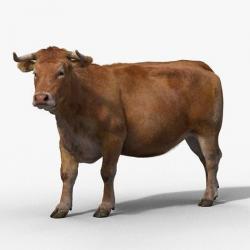 cow animated 3D Models | Page 1 | STLFinder