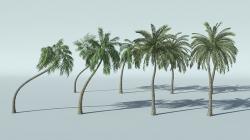 palm trees c4d 3D Models | Page 1 | STLFinder