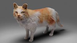 rabbit fur calico cat keychain 3D Models | Page 1 | STLFinder