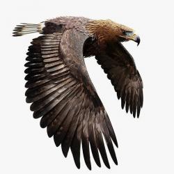 c golden wall blender 3D Models | Page 1 | STLFinder