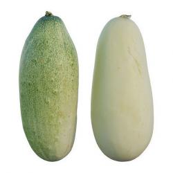 3d world melon mode game | Page 1 | STLFinder