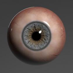 realistic eye 3D Models | Page 1 | STLFinder