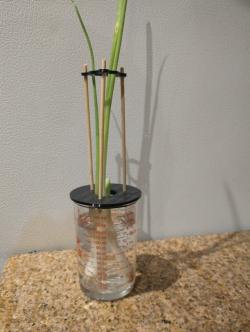 measuring in cups 3D Models | Page 1 | STLFinder