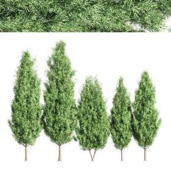 pictures of italian cypress trees 3D Models | Page 1 | STLFinder