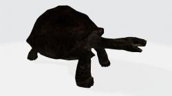 3d tortoise | Page 1 | STLFinder