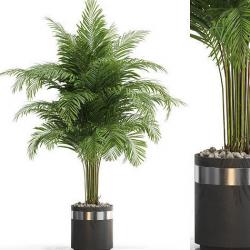 lian model df 662 | Page 1 | STLFinder