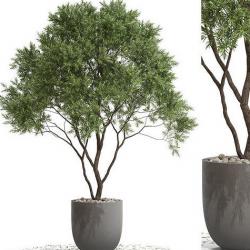 670 pokemon 3D Models | Page 1 | STLFinder