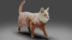 telegram cat in blender 3D Models | Page 1 | STLFinder