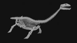 plesiosaur skeleton 3D Models | Page 1 | STLFinder