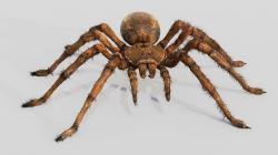 goliath spider istock 3D Models | Page 1 | STLFinder