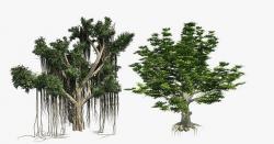 chinese beech tree 3D Models | Page 1 | STLFinder