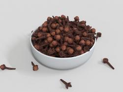 spice 3d | Page 1 | STLFinder