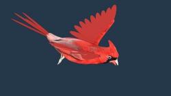 cardinal bird images 3D Models | Page 1 | STLFinder