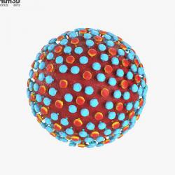 grafico 3d hepatitis | Page 1 | STLFinder