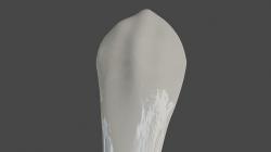 human canine teeth stl file 3D Models | Page 1 | STLFinder