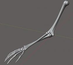 blender skeleton 3D Models | Page 1 | STLFinder