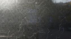 free pbr glass lightbeans 3D Models | Page 1 | STLFinder