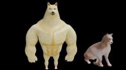 doge vs cheems 3D Models | Page 1 | STLFinder