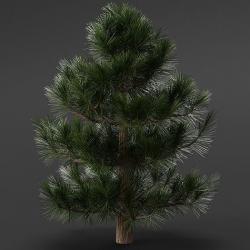 3d pine tree model 【 STLFinder