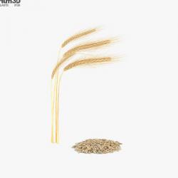 rm 5146a rye field model | Page 1 | STLFinder