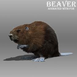 beaver (fur) 3D Models | Page 1 | STLFinder