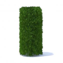 thuja hedge bush 3d models | Page 1 | STLFinder