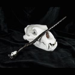 amycus carrow 3D Models | Page 1 | STLFinder