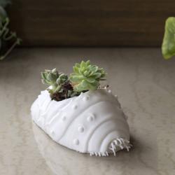 nausicaa ohmu scene 3D Models | Page 1 | STLFinder