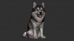 siberian husky 3D Models | Page 1 | STLFinder