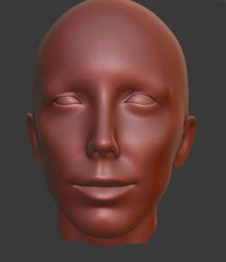 female face template 3d models 【 STLFinder