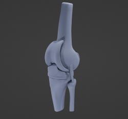 free printable knee replacement id card template free 3D Models | Page ...