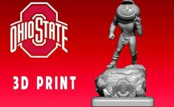 ohio state buckeyes leopard print dtf 3D Models | Page 1 | STLFinder