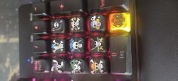 one piece custom keycaps backlit letters 3D Models | Page 1 | STLFinder