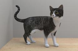 dreamer designs white cat 3D Models | Page 1 | STLFinder
