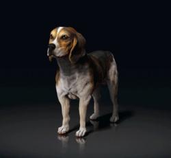 hush puppies beagle 3D Models | Page 1 | STLFinder