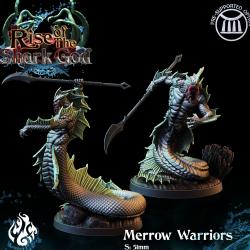 the merrow 3d models 【 STLFinder